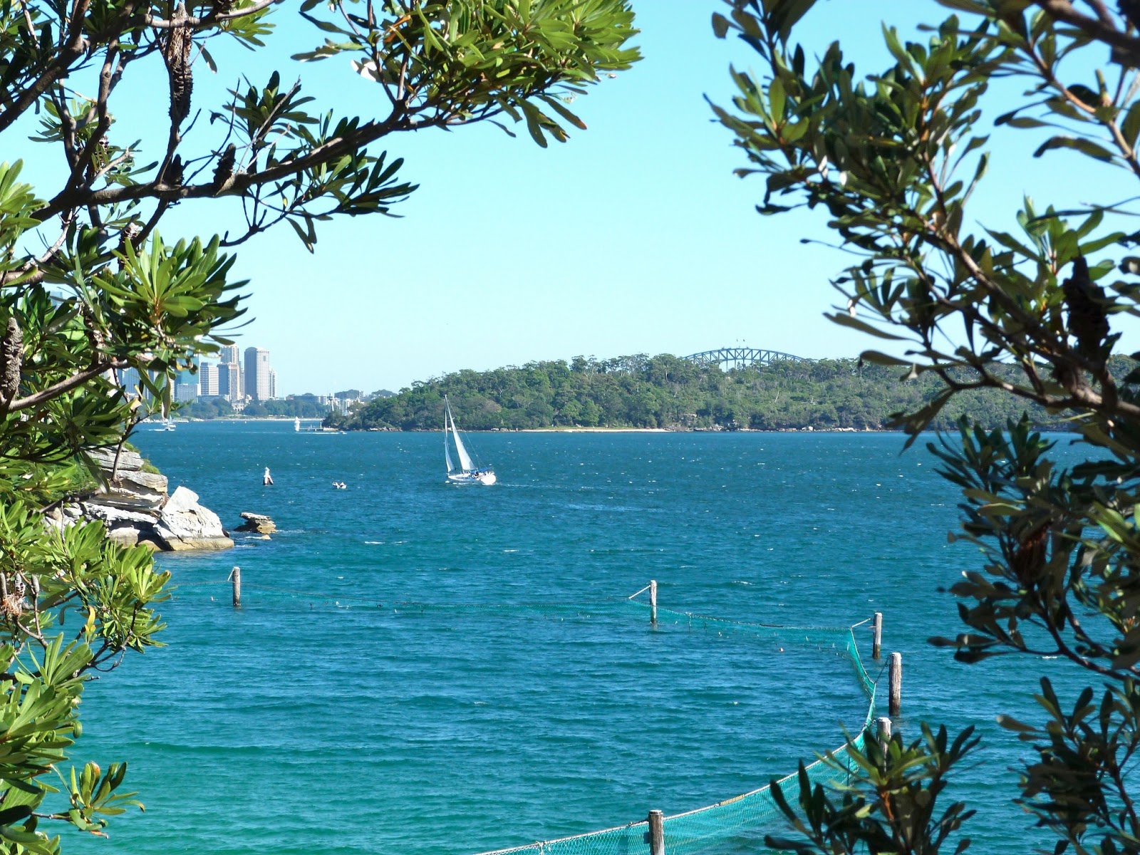 beachcomber: magic beach