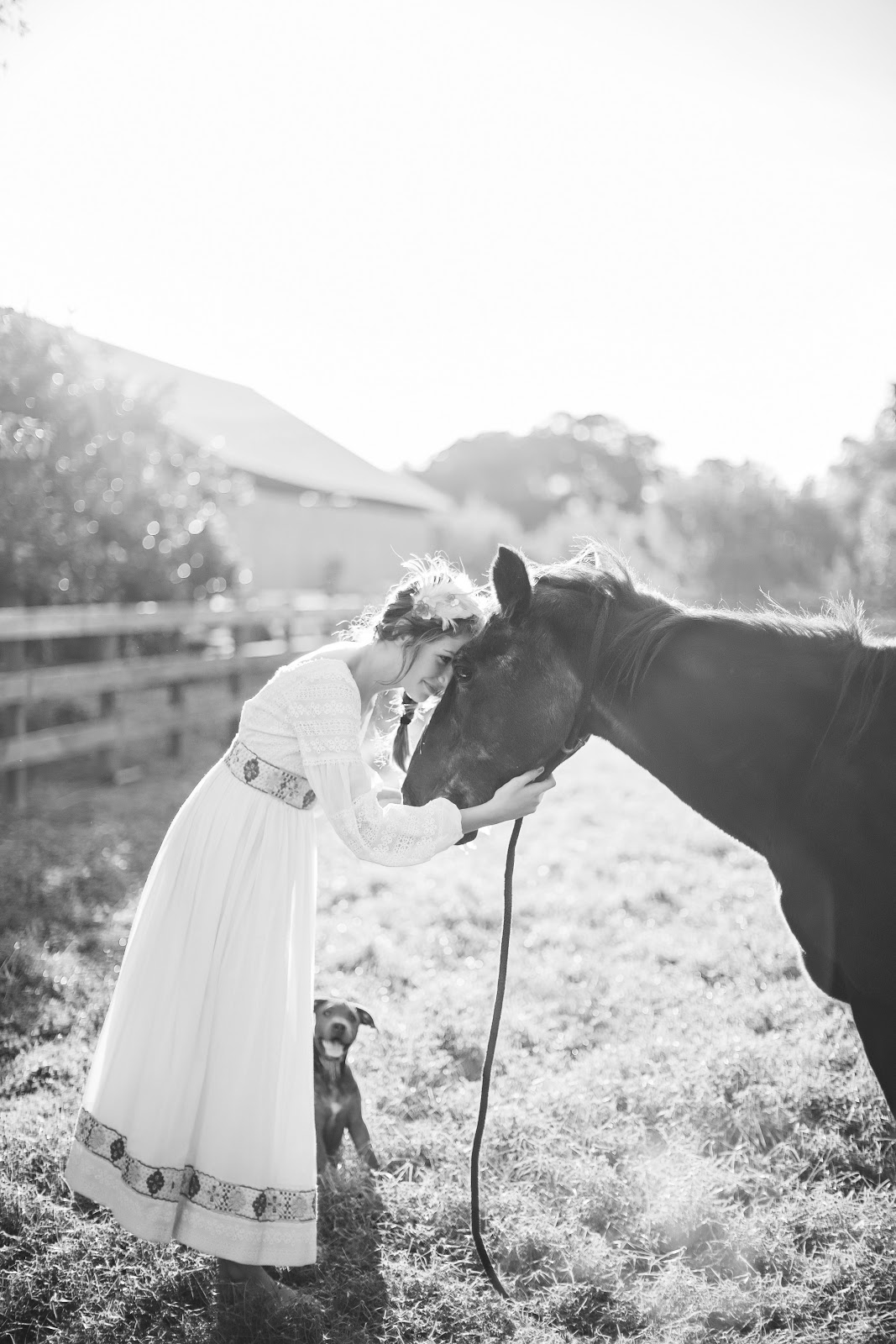 The Loft 5: Rustic farm weddings from The Loft 5 and King Family Farm