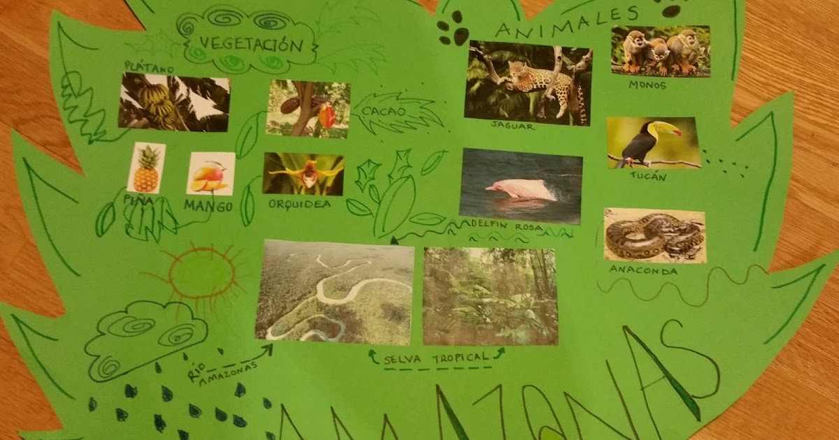 5 años: Descubriendo El Amazonas