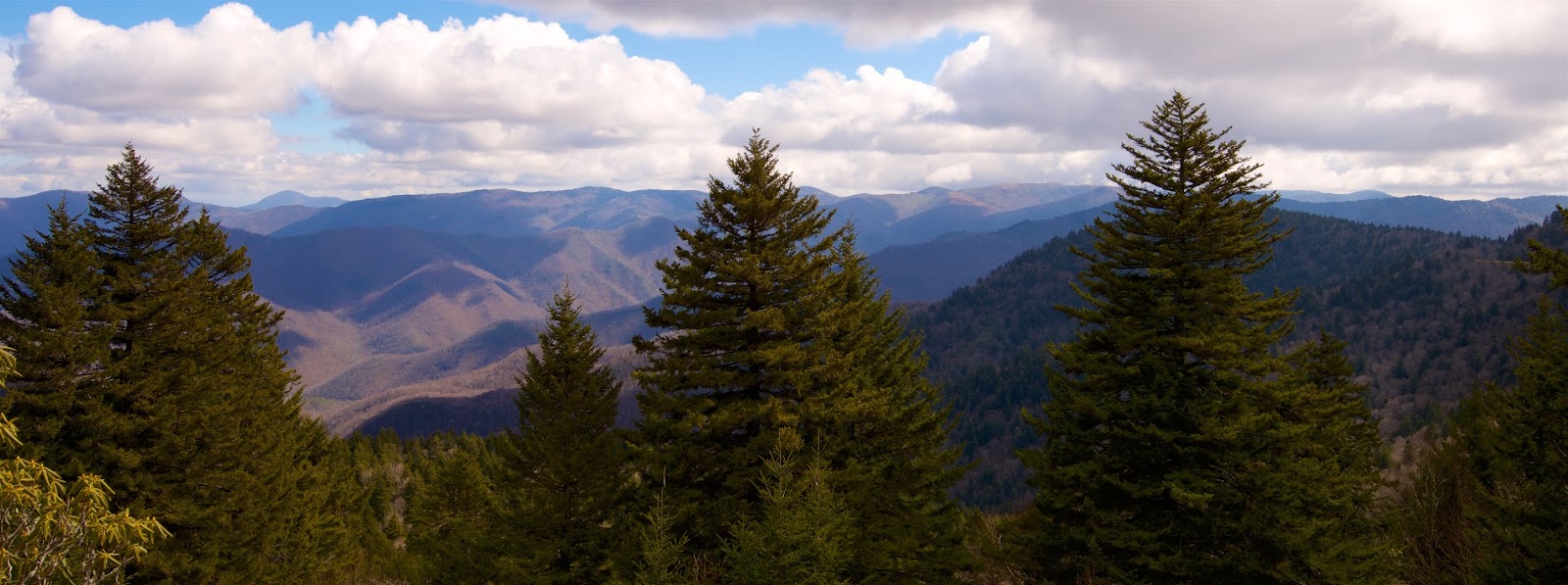 Thistle Dew Too: Eventually -- The Smokey Mountains