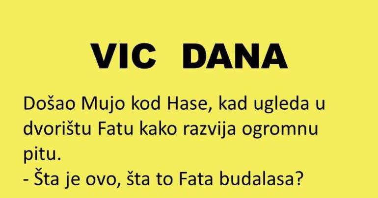 Dnevna Doza Recepata Vic Dana Mujo Haso I Zlatna Ribica