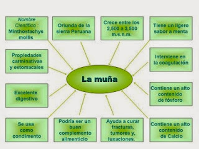 Gastronomia Peruana: LA MUÑA