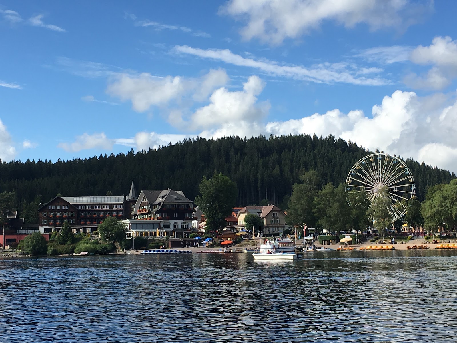 Mardefiesta: Viaje a la Selva Negra