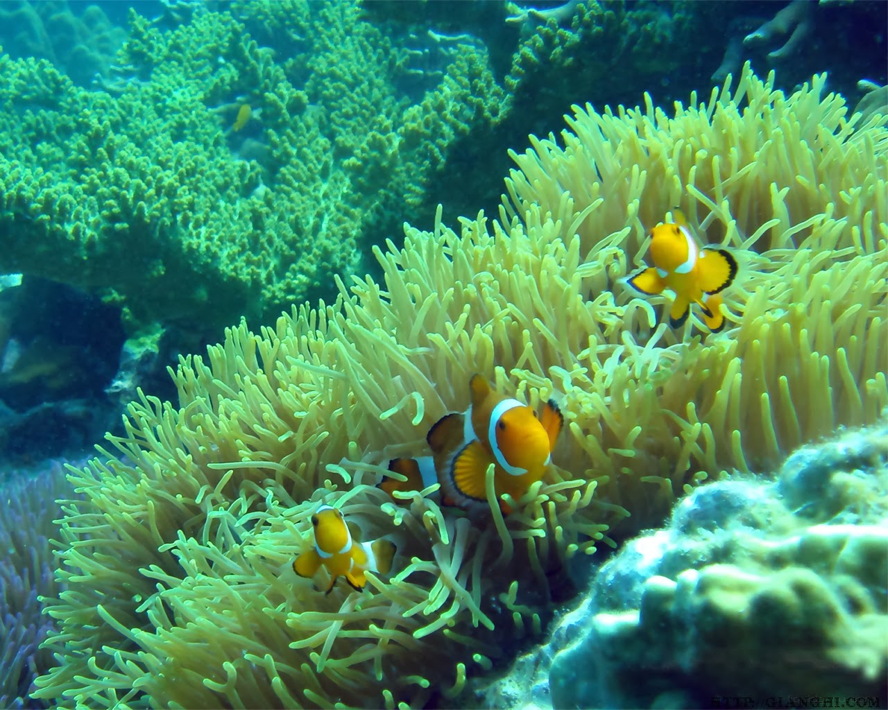 Thế giới đại dương - Góc kết nối yêu thương và chia sẻ