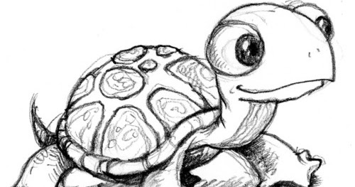 The Turtle and Flash ~ Story Delicious