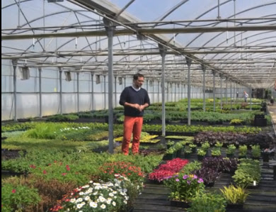 El primer vivero especializado en cultivo de plantas para jardines ...