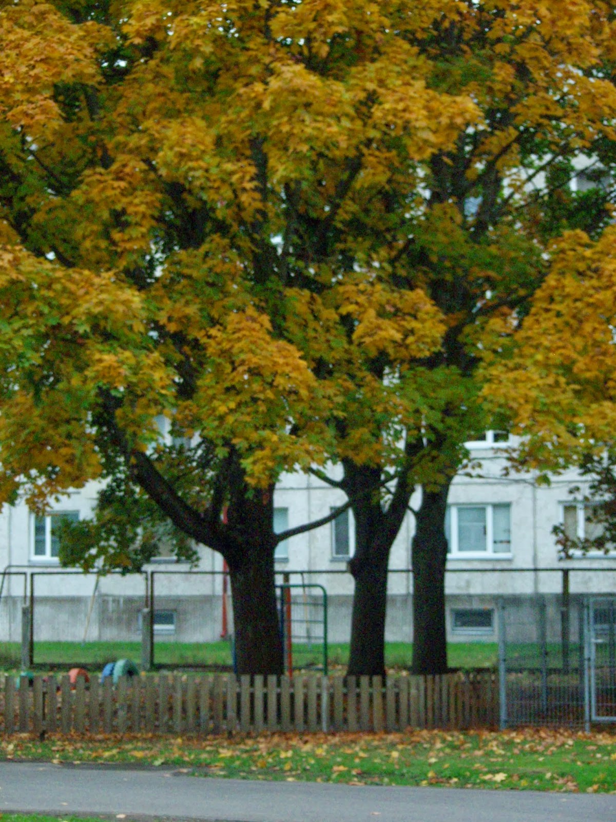 Jänkude toimetused: ÕUESÕPPENÄDAL. VAHER JA KASTAN MEIE LASTEAIA ÕUES