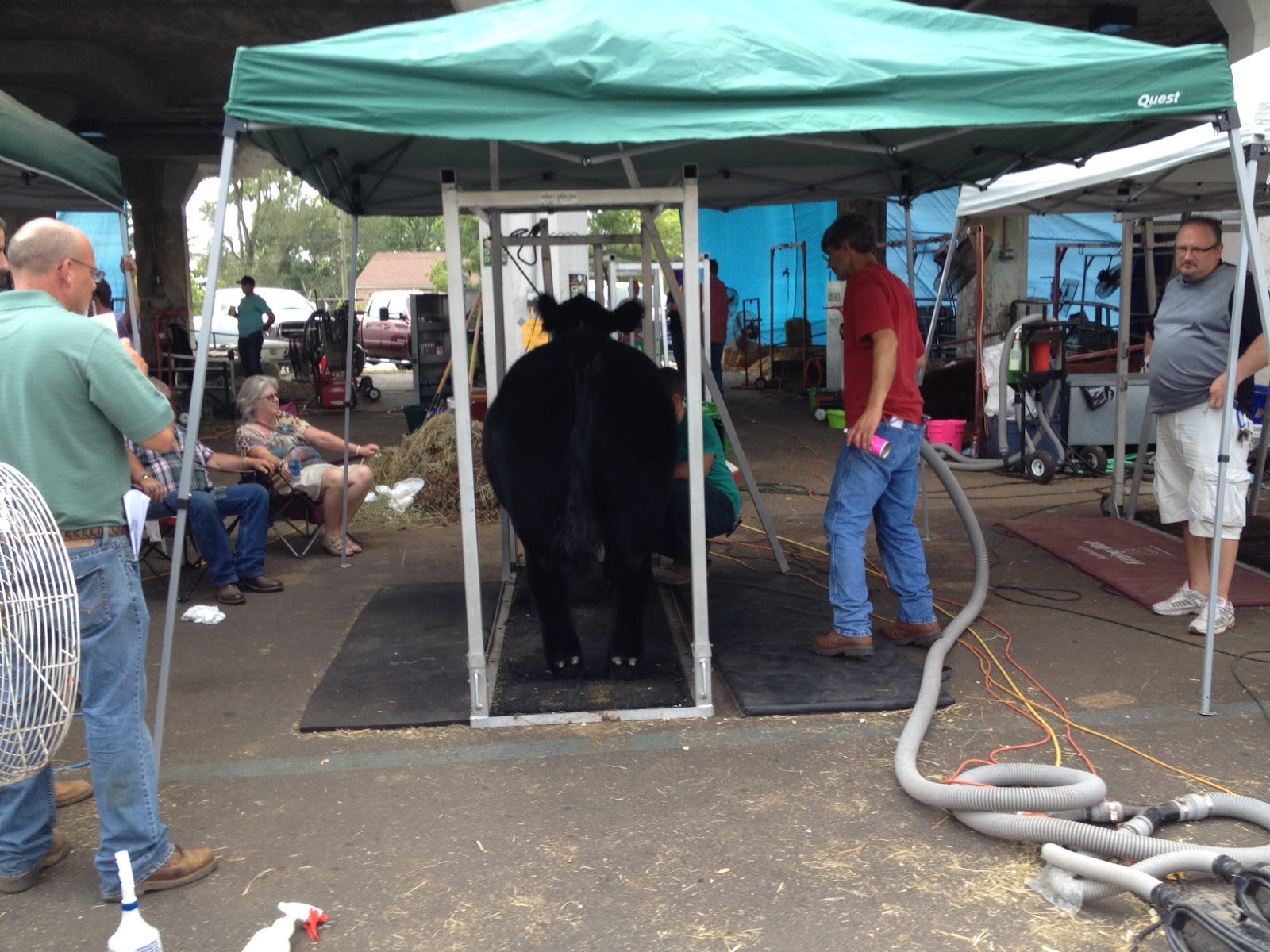 The Showbox Magazine: The Ohio State Fair 2012