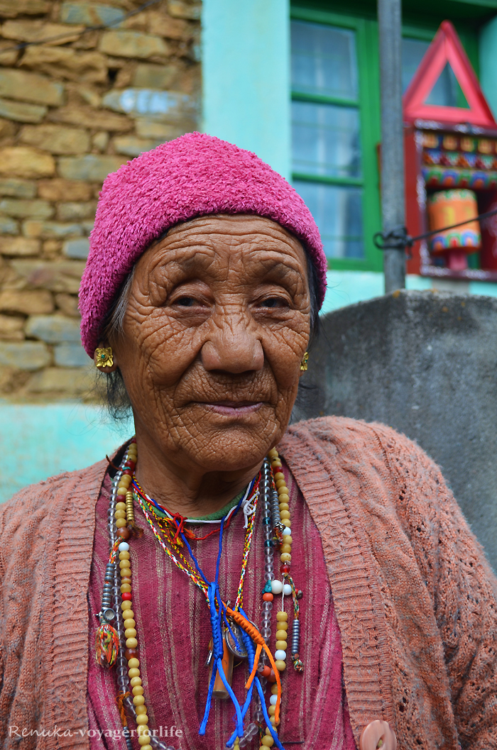 Get Mesmerised By The Monpas - Voyager For Life