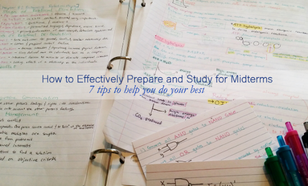 How To Effectively Prepare and Study For Midterms ~ Curiosity and Charm