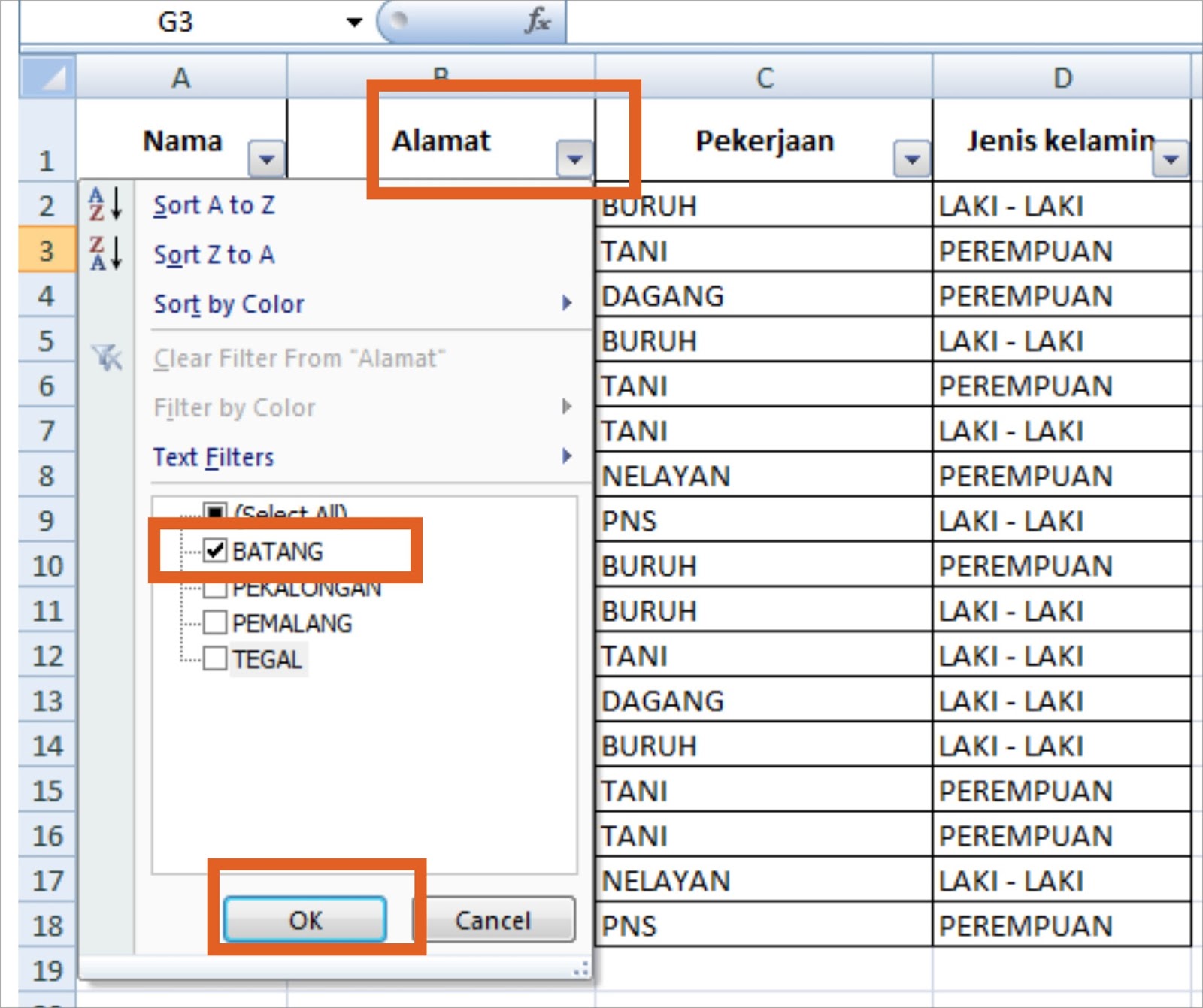 Filter Dalam Microsoft Excel