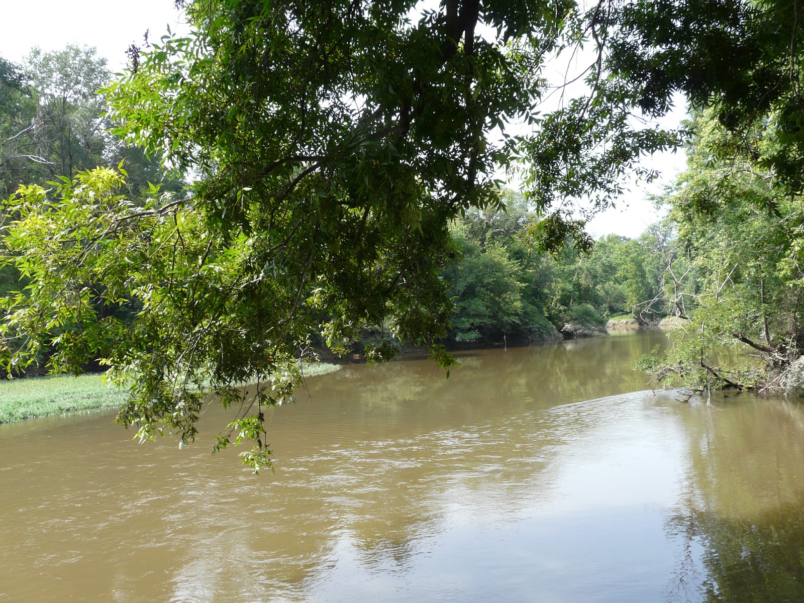 Archiving throughout Arizona, New Mexico, Oklahoma, and Texas: Little ...