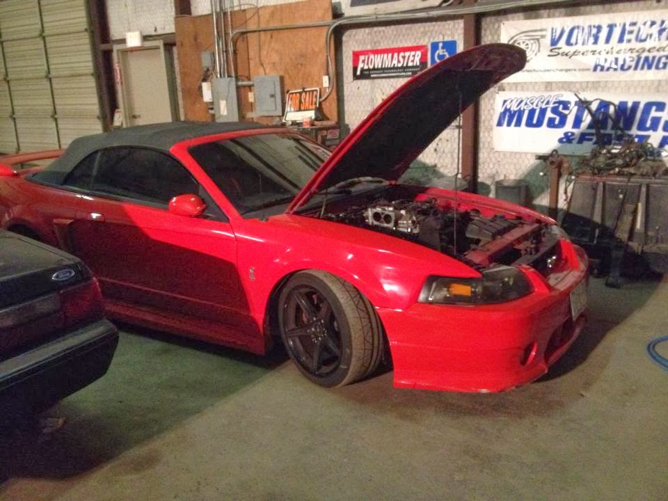 Whiteboy's Mustangs: 1999 cobra convertible roush convertible svt#