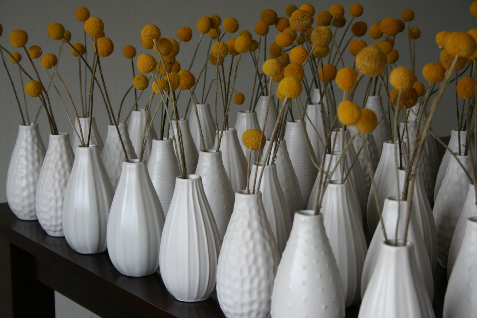 Wallpaper-HD-Blog: Billy buttons