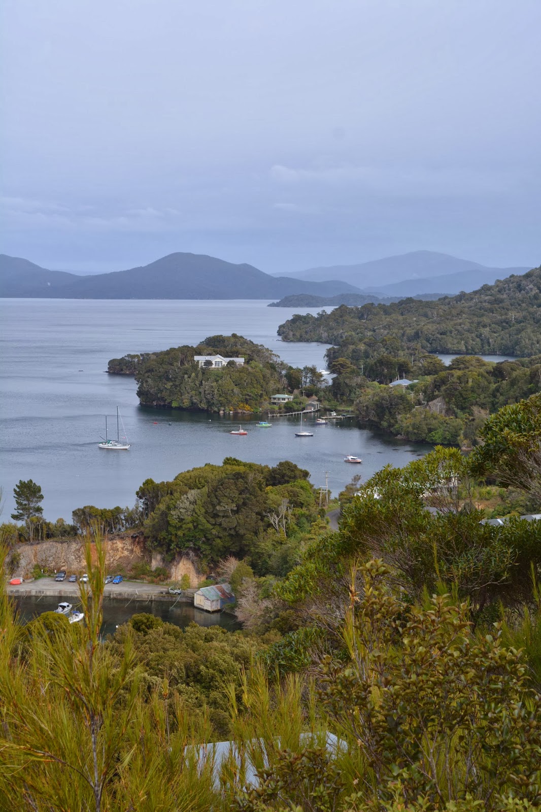 Onslow and Miss B: Stewart Island