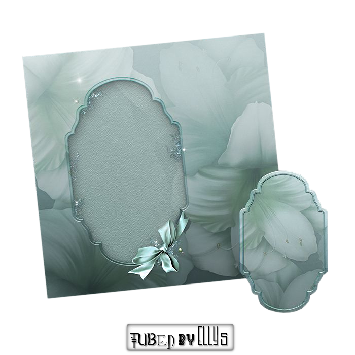 Alles voor en over PSP : FRAMES 1