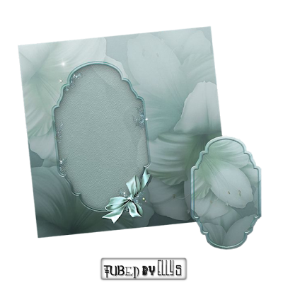 Alles voor en over PSP : FRAMES 1