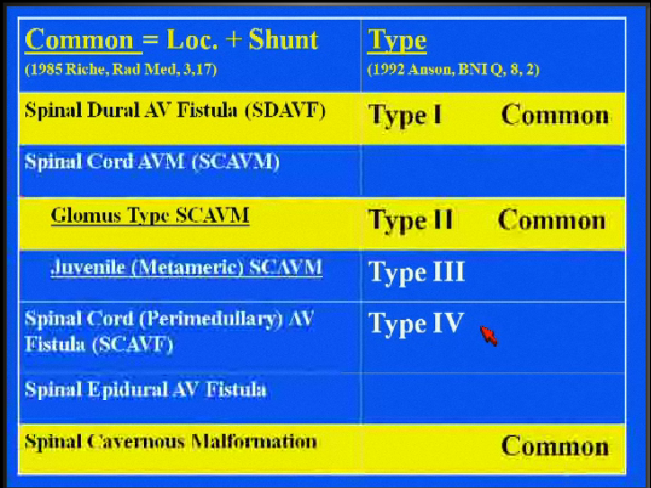 rsna: SPINAL DURAL AVF AND SPINAL CORD AVM
