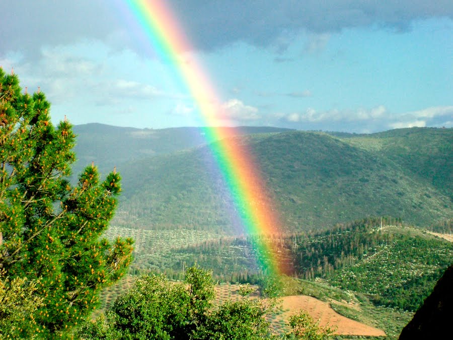 meninas-felizes: A LENDA DO ARCO ÍRIS