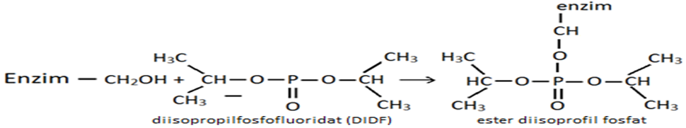 ISOLASI ENZIM BROMELAIN - PRAKTIKUM BIOKIMIA - AwaliHarimu