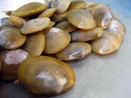 Anim Agro Technology: LALA