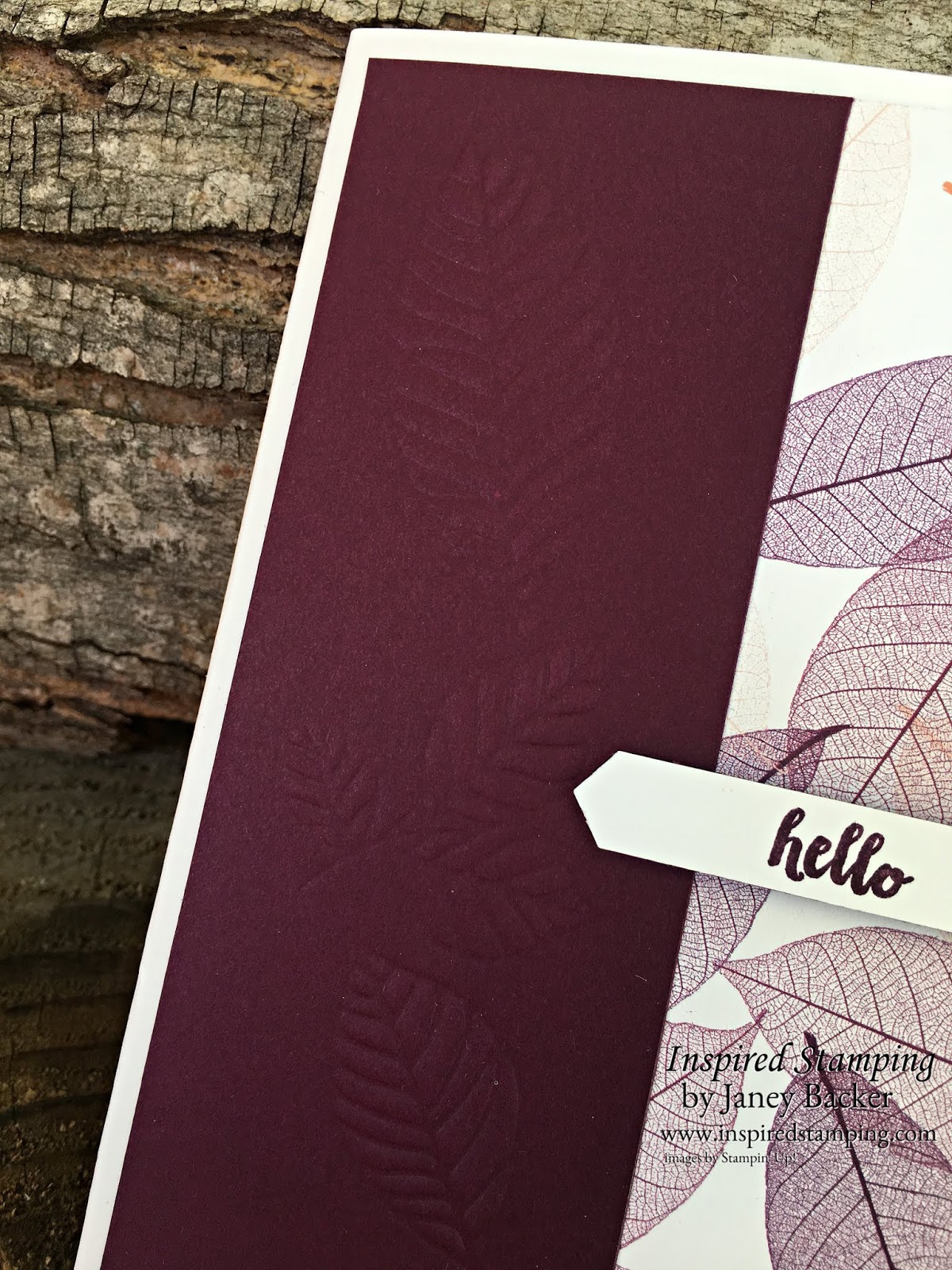 Inspired Stamping by Janey Backer: Stamp Club October Projects