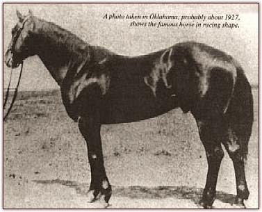 LUDO HANCOCK HORSES: HANCOCK QUARTER HORSE
