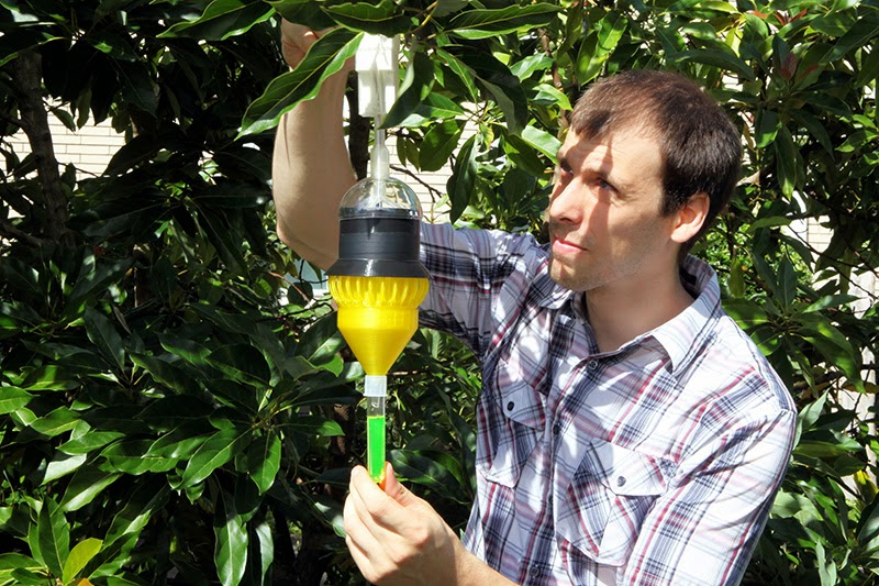 Biodiversity Science: 3-D printed insect traps