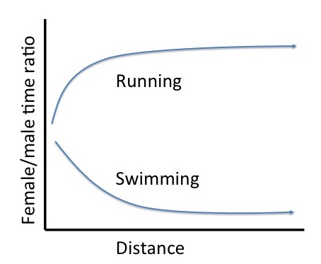 running commentary?: Swimming vs running trends for four levels of sport