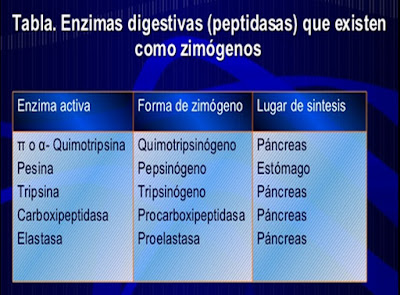Bioquimica : Actividad 1.- Exposición del tema zimógenos