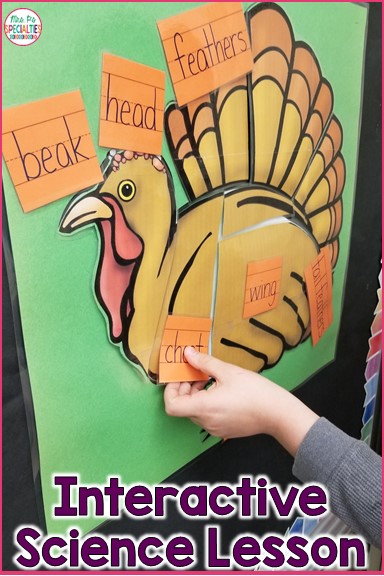 Create & Use An Interactive Poster For Science Lessons · Mrs. P's ...