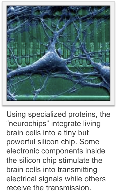 Writer Shack | Joseph Mapue: A New Look at the Brain’s Circuitry