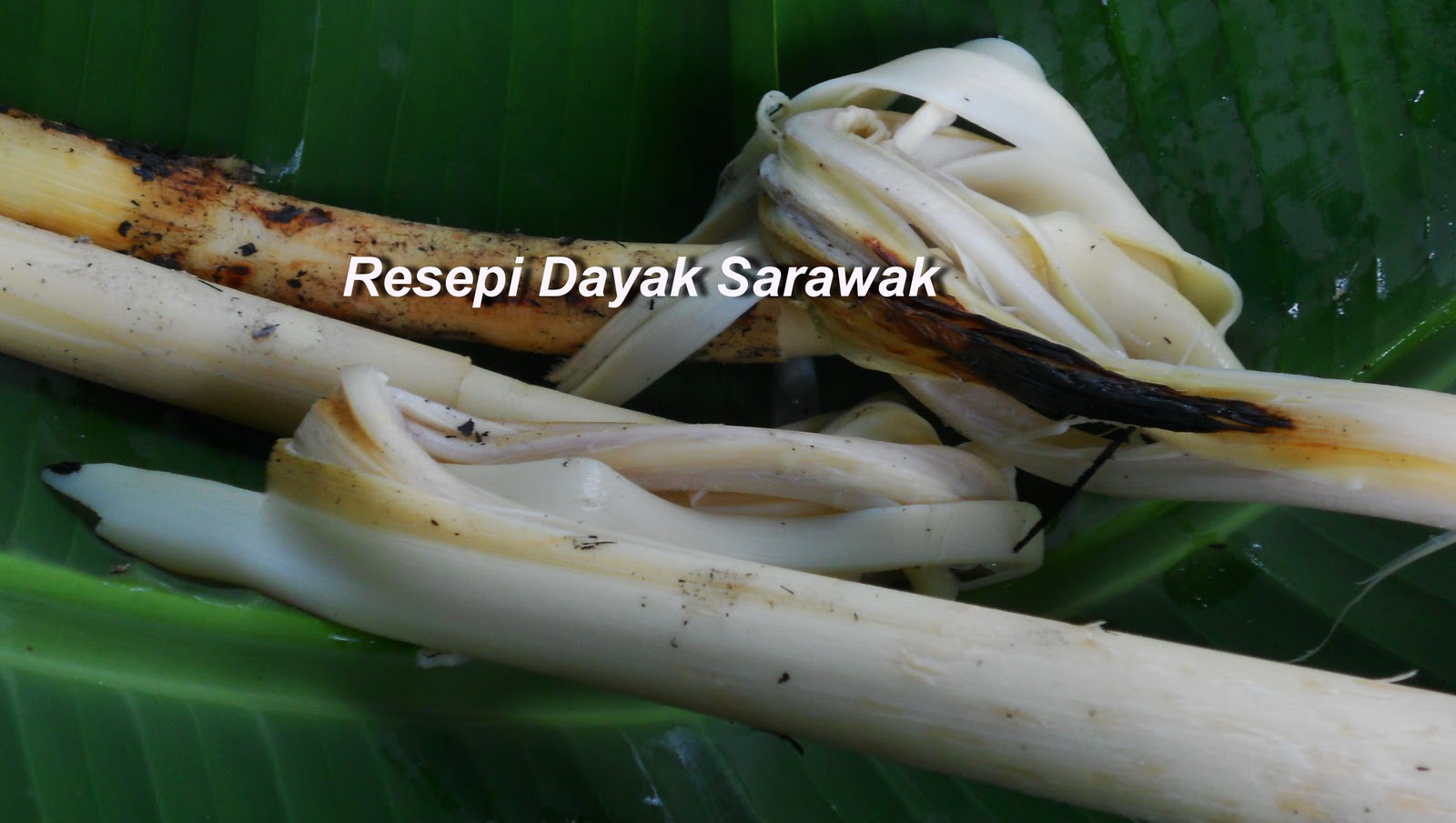 Resepi Sarawak: UPA LALIH (UMBUT ROTAN) BAKAR