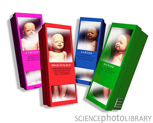 SBI 3U1 Biology Blog: Designer Babies