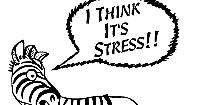 Dr. Sonja's Blog: Maybe It's Stress