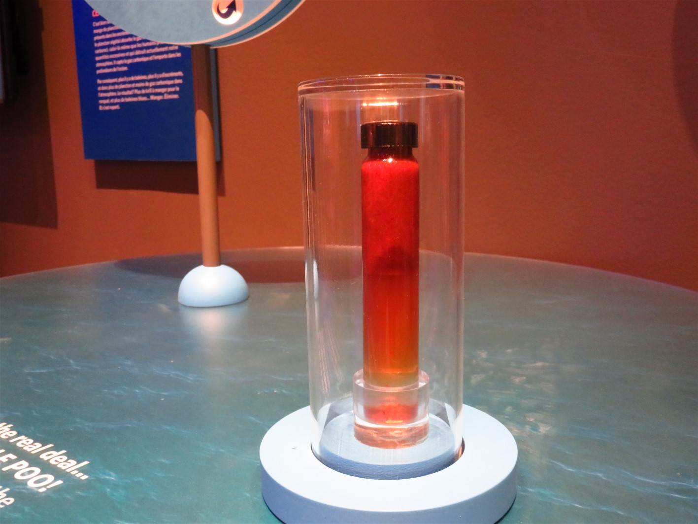 The World of Gord: Out of the Depths, The Blue Whale Exhibit at the ROM