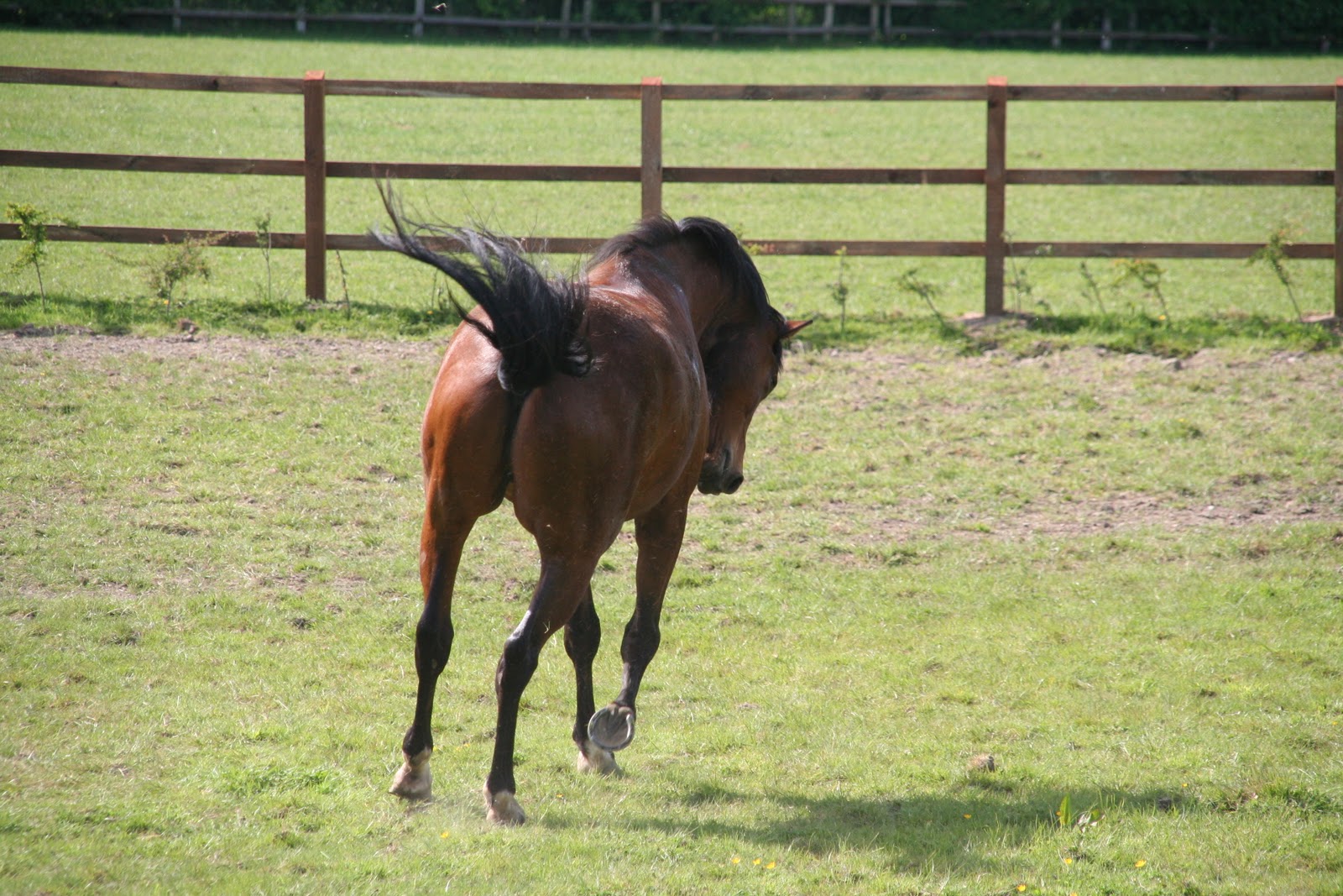 TRAKEHNERS CAN JUMP: TRAKEHNERS CAN JUMP part 5
