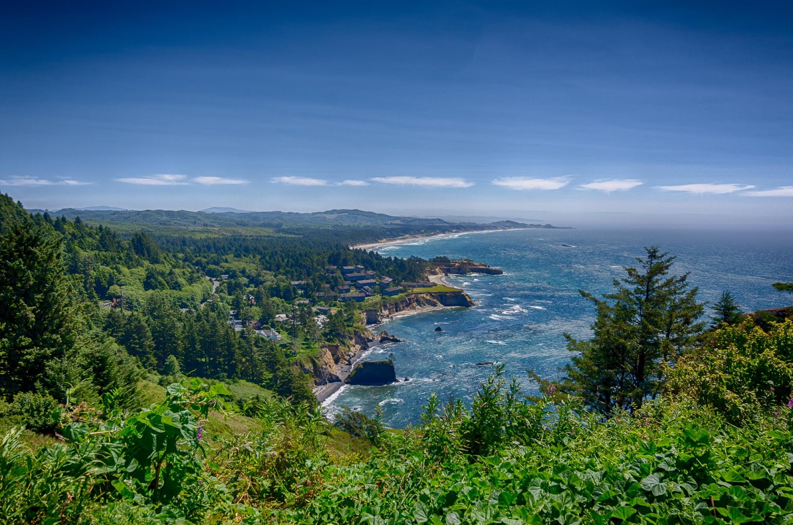 Pelalusa: More Views of the Oregon Coast