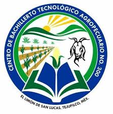 UEMSTAyCM EDO. MEX.: CBTA 300