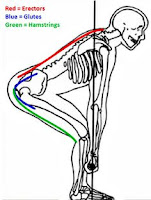 The C-Suite Athlete: Never Break the (Posterior) Chain