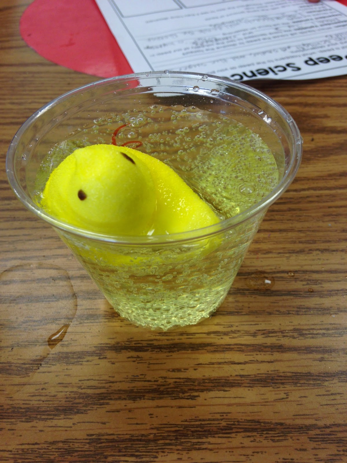 Ms. Winter's Wild West: Egg-Citing Science