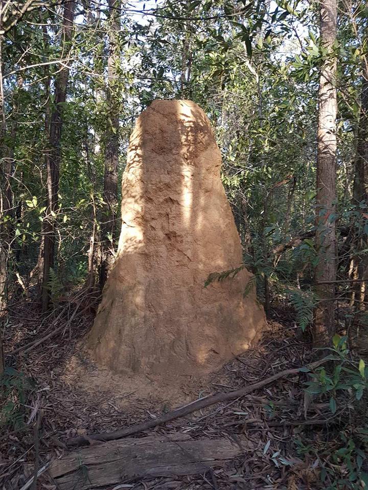 Steventure: The Castle