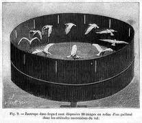 NewMediaSURF: February 2011