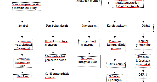 Patofisiologi Dan Pathway Hiperemesis Gravidarum