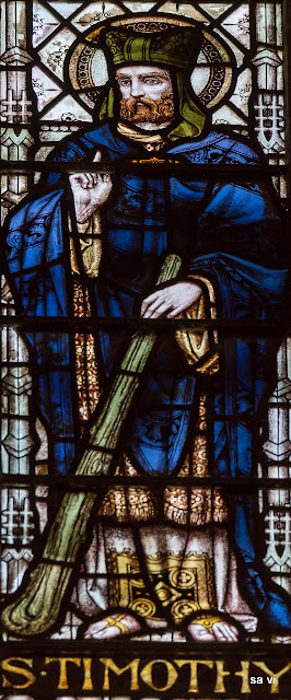 sacerdos viennensis: Timotheus