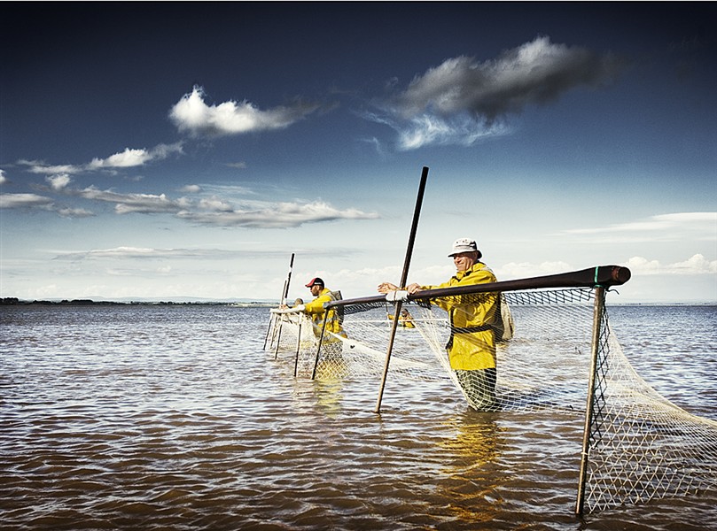 Unbought Delicacies: The ancient art of haaf net fishing