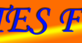 Dit All Notes: Dit 1st semester complete Notes