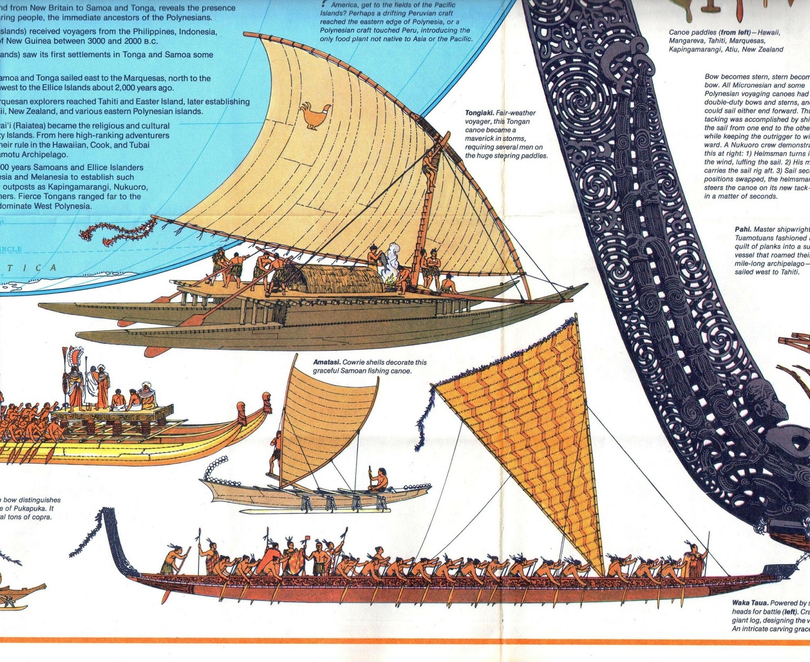 Proa Sailing: Amatasi, Tongiaki, and Waka Taua