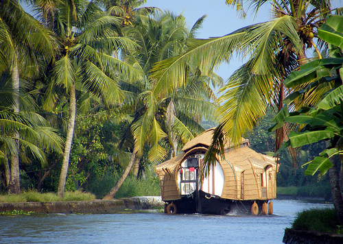 amazing cochin / kochi : Backwaters of Kochi