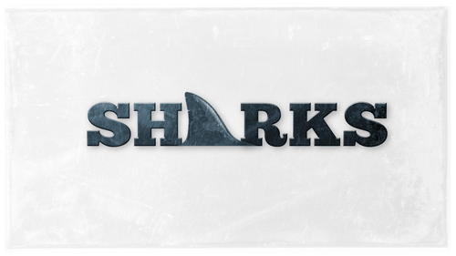 Sharks Eat Meat: TYPOGRAPHY WEEK | Trevor Hawkins